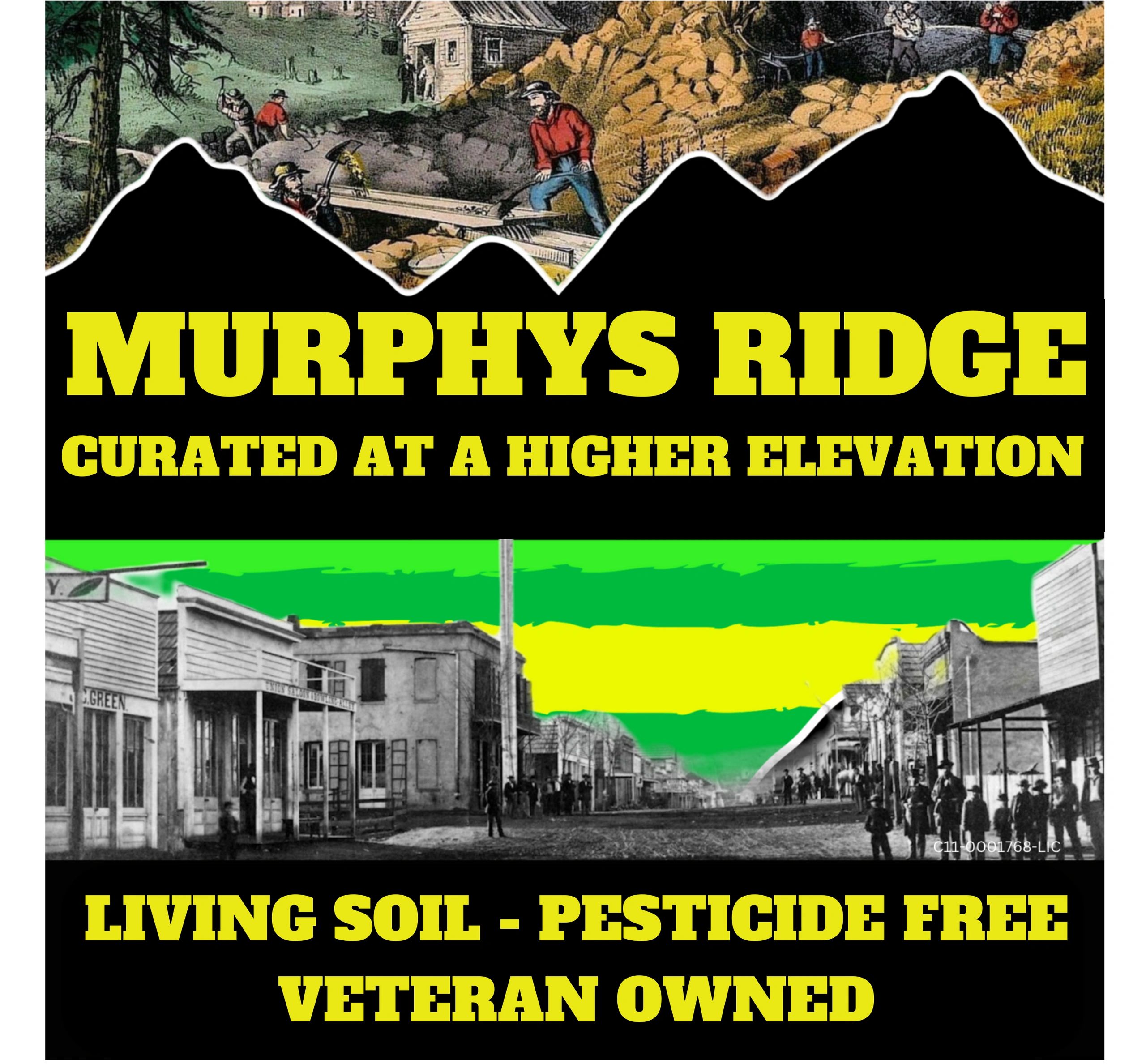 Murphys Ridge